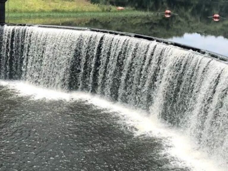 15 Best Lakes In South Florida To Visit On Your Trip